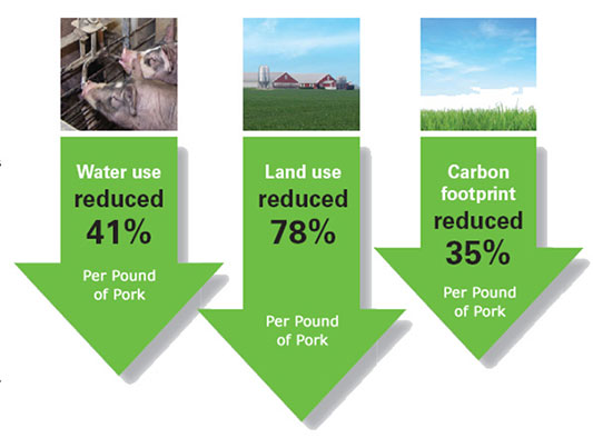 Minnesota Pork - Pig farmers taking care of pig, people and the planet.